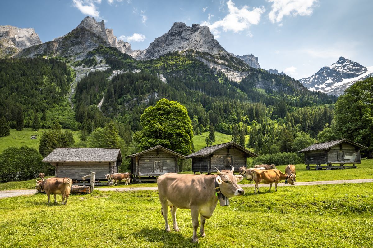 Meiringen Switzerland - Things to do in Meiringen - Magic Switzerland