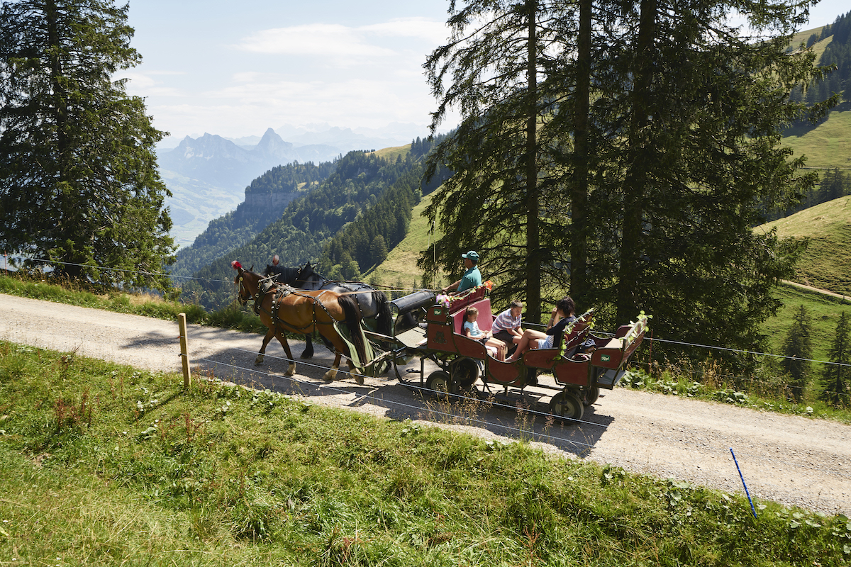 Travel Guide to Mt. Rigi - Mt. Rigi Excursion in Switzerland