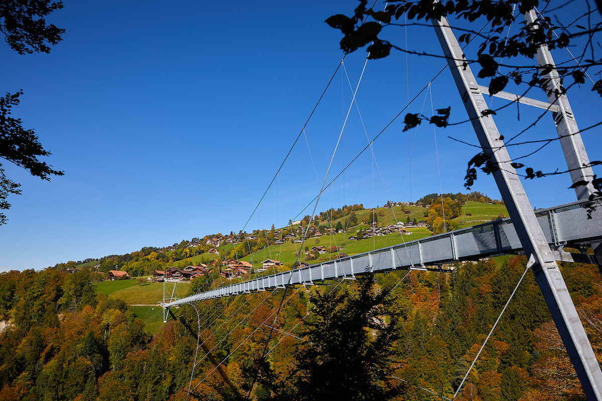 Hike: Lake Thun Panorama Trail - Hiking in Switzerland - Outdoor Tours