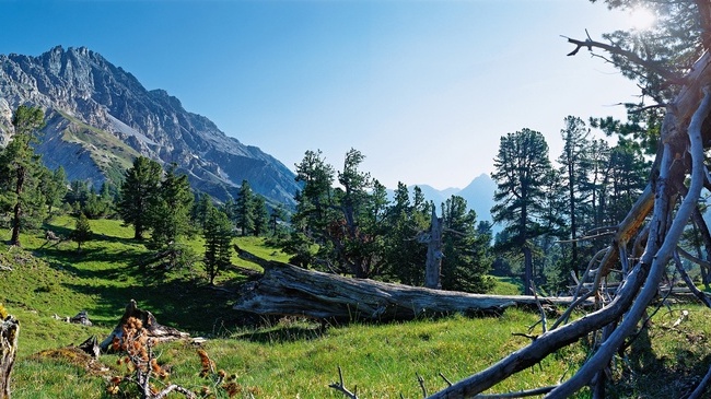 Swiss National Park - Magic Switzerland