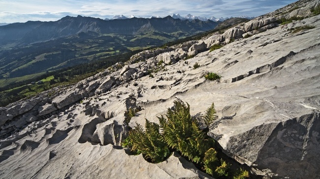 UNESCO Biosphere Entlebuch - Magic Switzerland